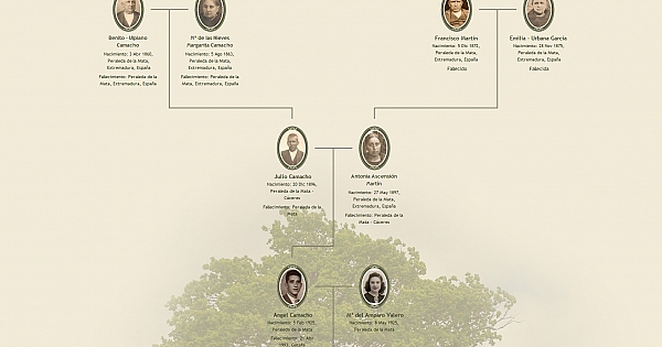 ÁRBOL DE ÁNGEL CAMACHO – descubre todo sobre esta foto aquí